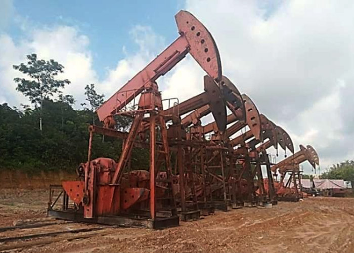 Indo Petro Nusantara - Oil & Gas Contractor